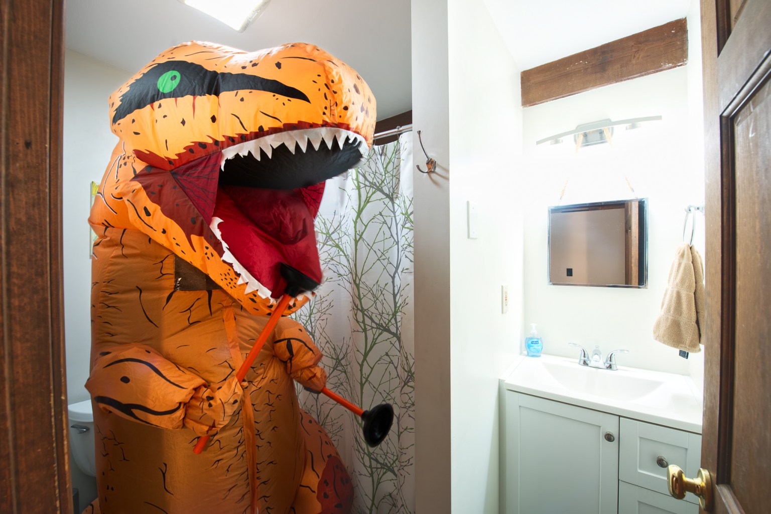 Explore the Unique T-Rex House in Londonderry, NH - Zillow Gone Wild
