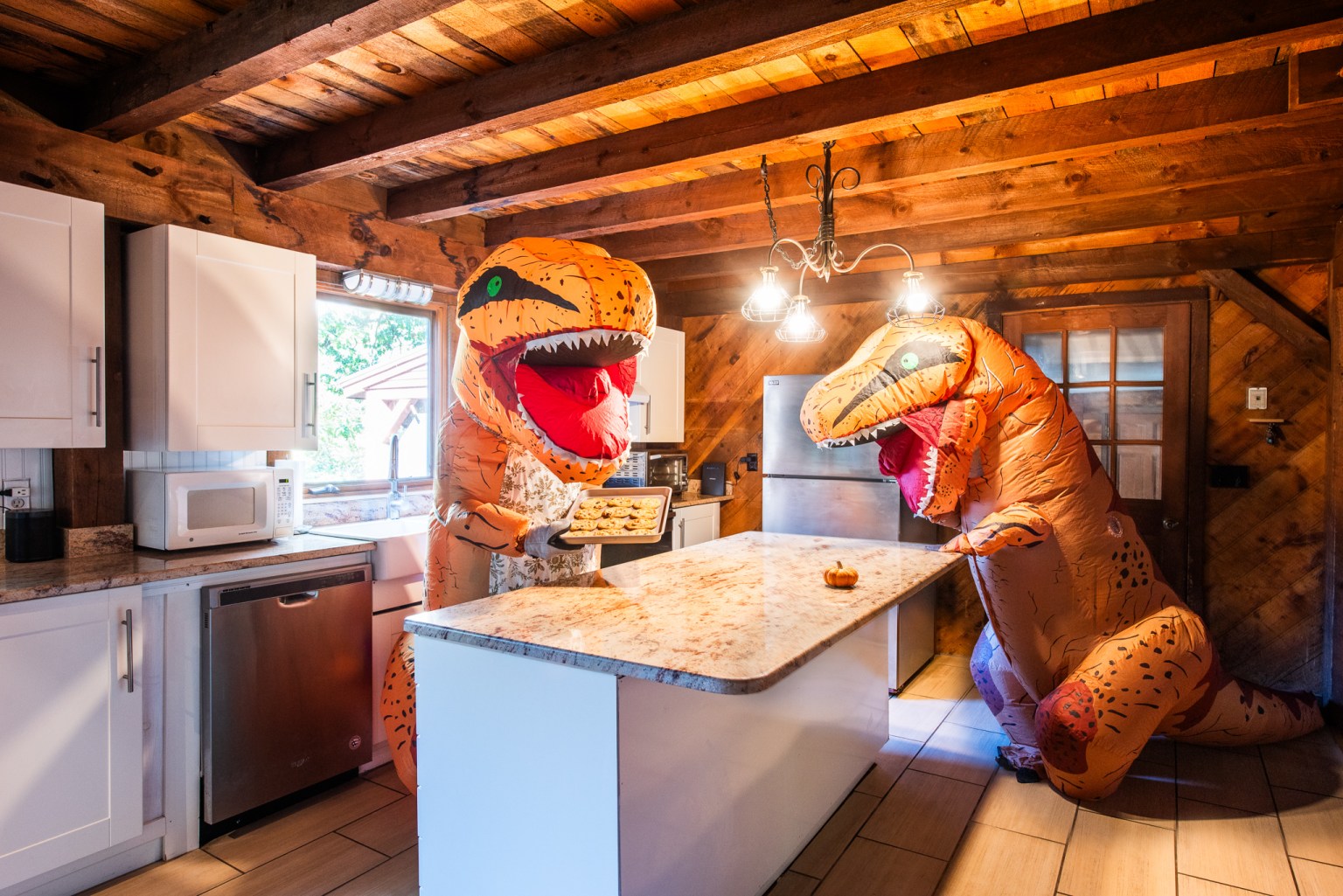 Explore the Unique T-Rex House in Londonderry, NH - Zillow Gone Wild